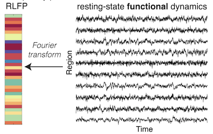Dynamics and Neural Systems Lab - Publications