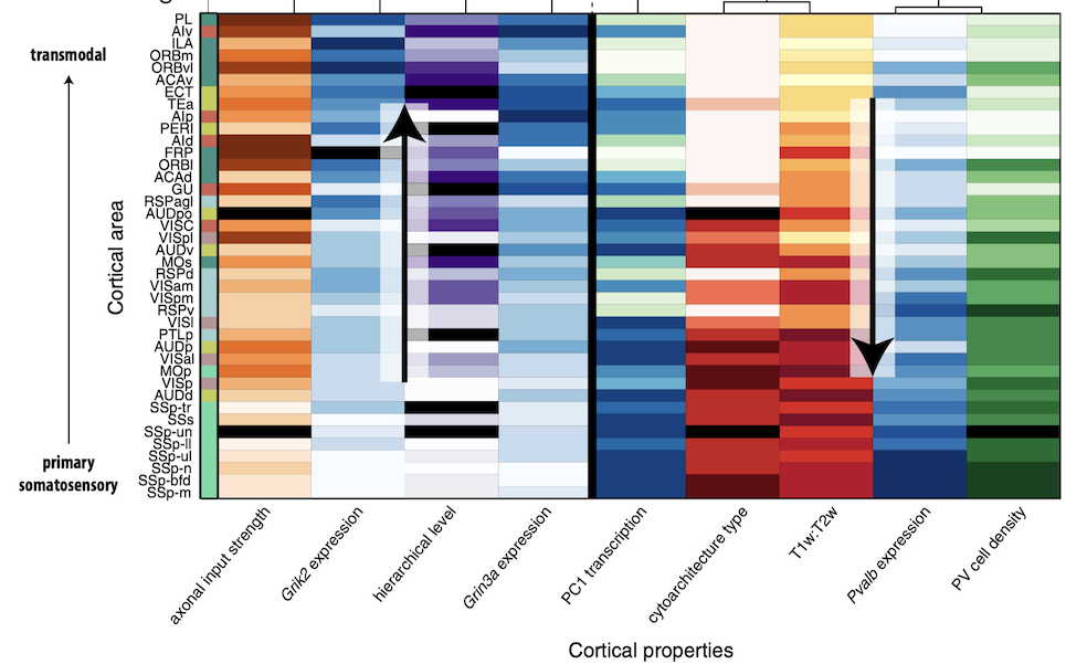 Dynamics and Neural Systems Lab - Publications